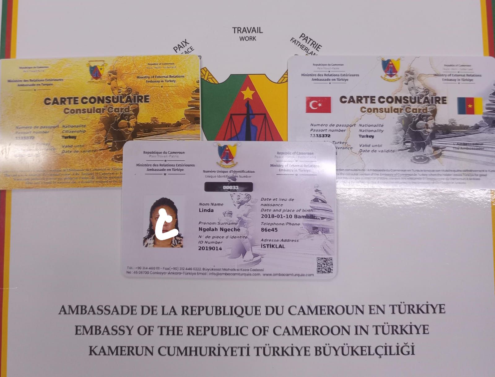 PRODUCTION DES CARTES CONSULAIRES DE LA COMMUNAUTÉ CAMEROUNAISE DE ...